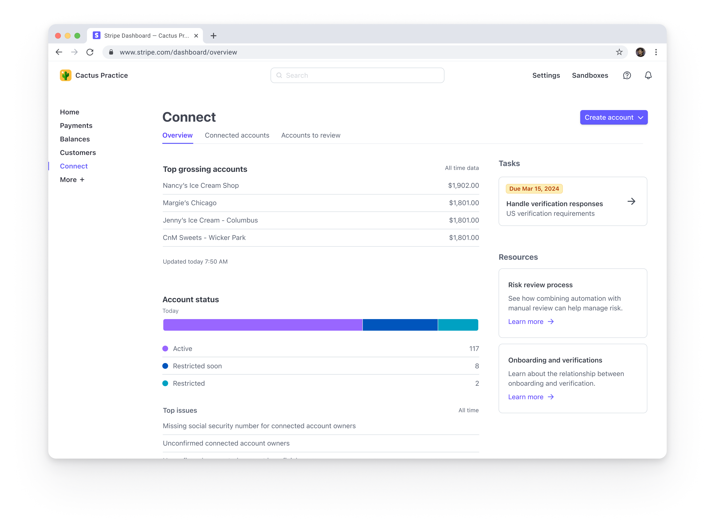 Understand your Connect business | Stripe Documentation
